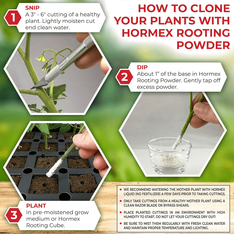 Rooting Medium For Cuttings XIRUJNFD Root Powder, Rooting Hormone
