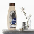 Oster Oatmeal Essentials Shed Control Dog Shampoo, Coconut Verbena, 18 ...