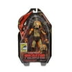 "NECA Toys Collection: Predator Concrete Jungle Stone Heart 7"" Action ...