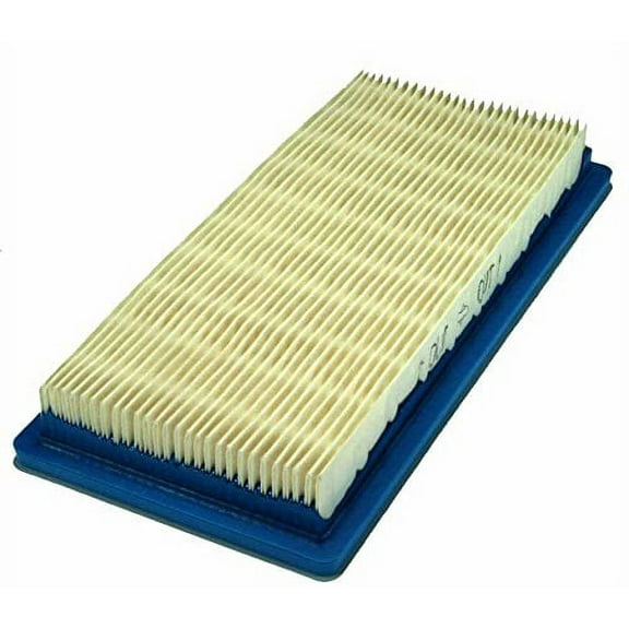 Briggs and Stratton Air Filter with Pre-Cleaner - Walmart.com