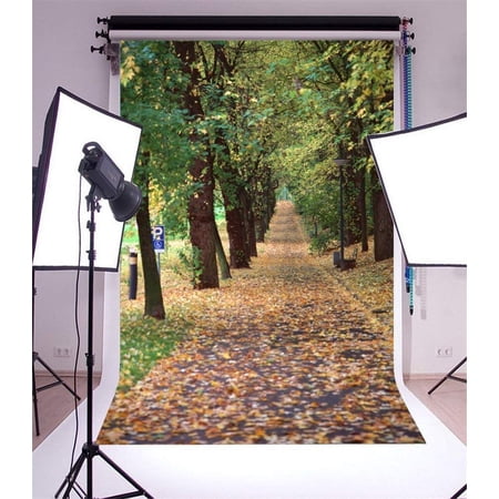 BSDHOME 5x7ft Photography Backdrop Green Trees Falling Leaves Traffic ...