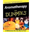 For Dummies Dream Dictionary For Dummies, (Paperback) - Walmart.com