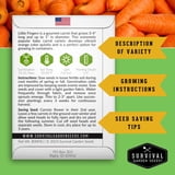 2 Packs Little Fingers Carrot - Non-GMO Heirloom Vegetable Seeds - Full ...