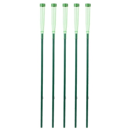 Sets Nutrition Flower Water Tubes Water Storage Tubes Florist ...