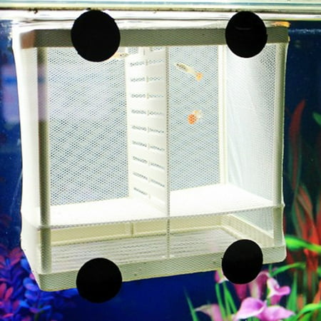 Isolation Mesh Box Suction Cup Fish Breeding Net Fish Breeding ...