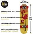 ReDo Skateboard 28.5" x 8" Zodiac Premium Cruiser Flamingo Complete ...