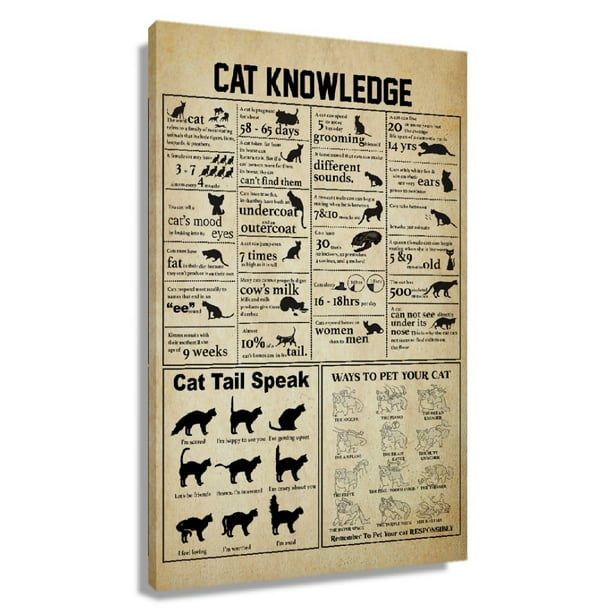Cat Knowledge Poster Educational Wall Art Infographic Poster Artwork ...