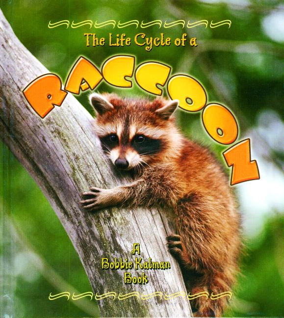 Life Cycle: The Life Cycle of a Raccoon (Hardcover) - Walmart.com