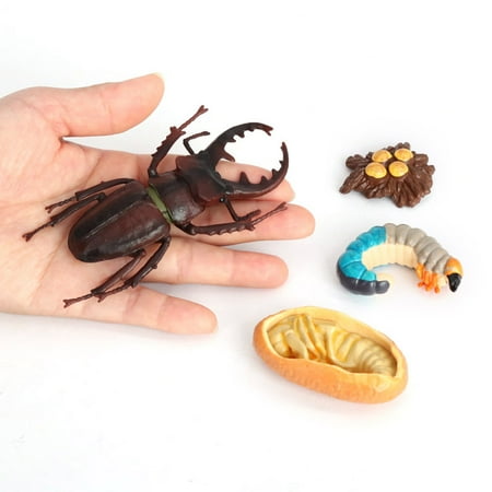 1 Set Spade Worm Model Growing Models Premium Plastic Material ...