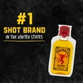 Fireball Cinnamon Malt Beverage, 50ml Bottles, 10 Count, 16.5% Alcohol ...