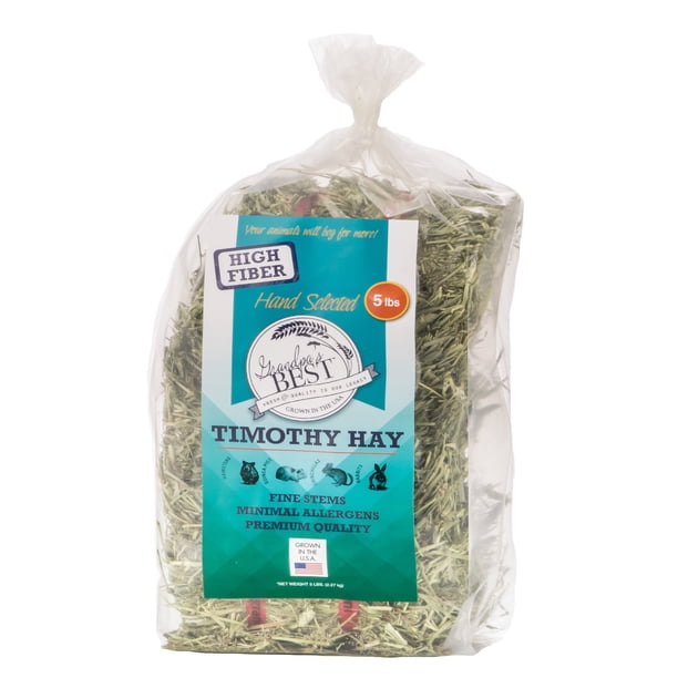 Grandpa's Best Timothy Hay Mini Bale for Small Animals - 5lb - Walmart ...