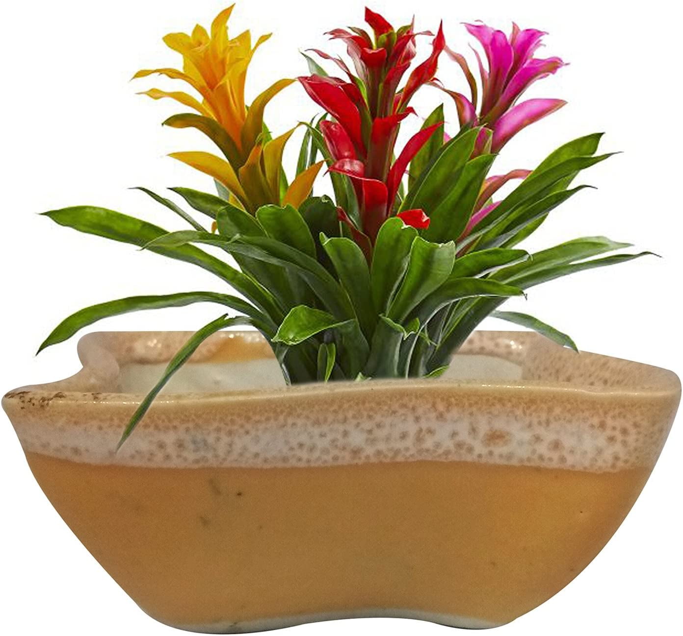 India Meets India Handicraft Ceramic Flower Pots Ceramic Planter Plant ...