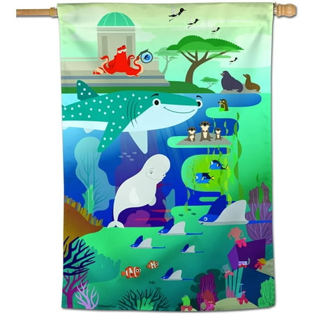 Disney 28"x40" Vertical Flag, DORY SCENE | Walmart Canada