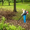 52CC Gas powered 2-Cycle Gas Backpack Leaf Blower with extention tube ...