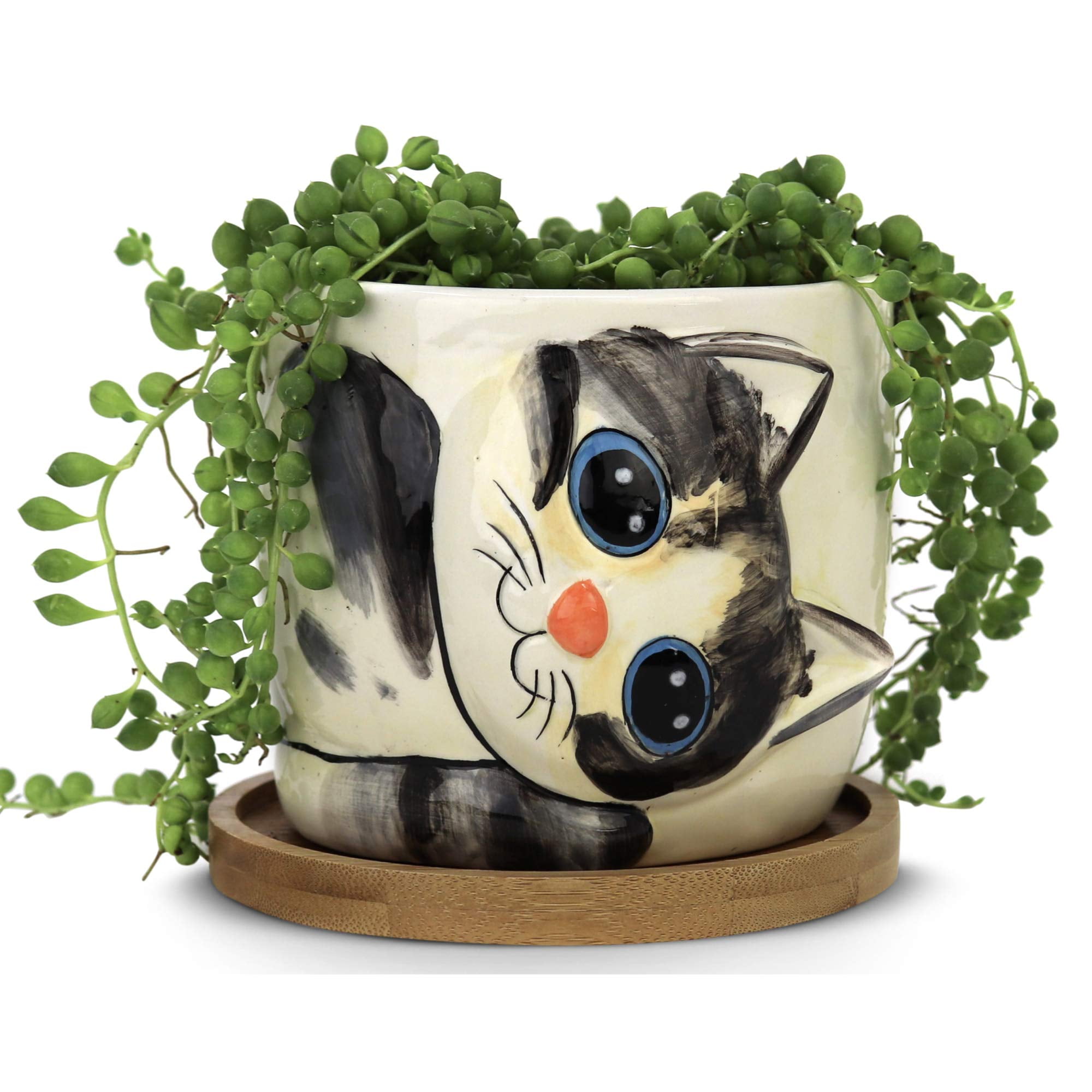 Window Garden Cat Planter - Large Kitty Pot for Indoor Plants ...