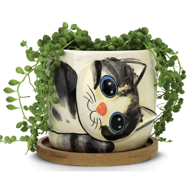 Window Garden Cat Planter - Large Kitty Pot for Indoor Plants ...