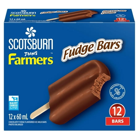 Fudge bars | Walmart Canada