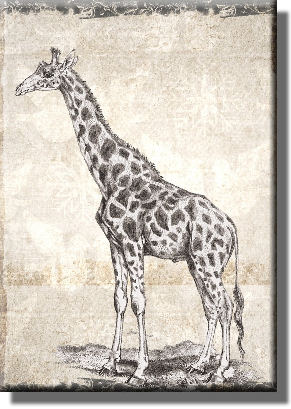 Vintage Giraffe Picture on Stretched Canvas, Wall Art Decor, Ready to ...