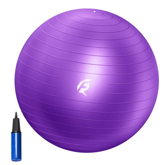 Exercise Balls | Purple