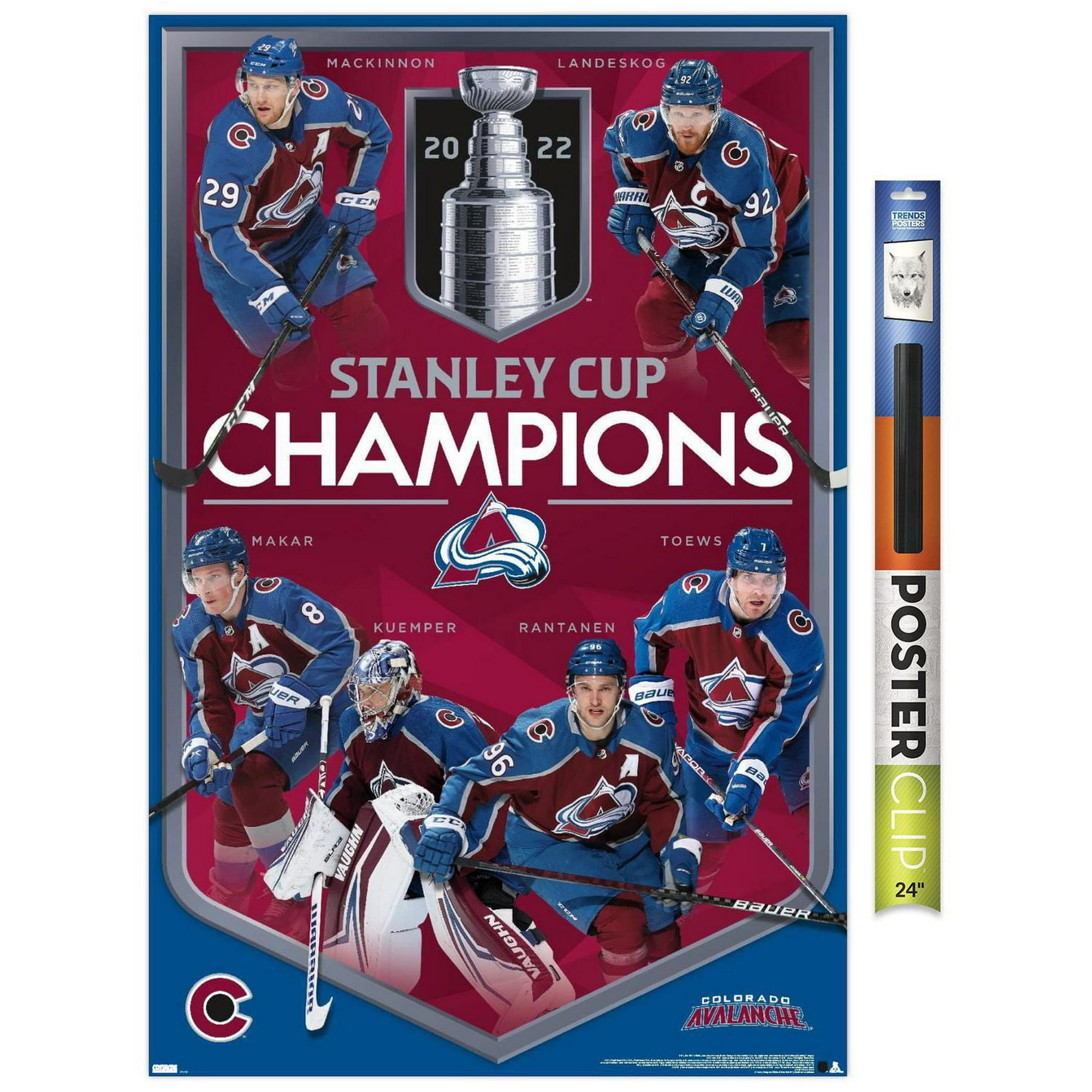 Click here for Trends International Nhl Colorado Avalanche - Stan... prices