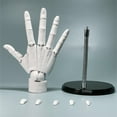 GuaLeg Super Movable 1:1 Hand Model Finger Joint Finger Joint Painting ...