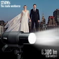 Profoto Pro-D3 1250W Industrial-Grade Monolight Bundle with Profoto ...