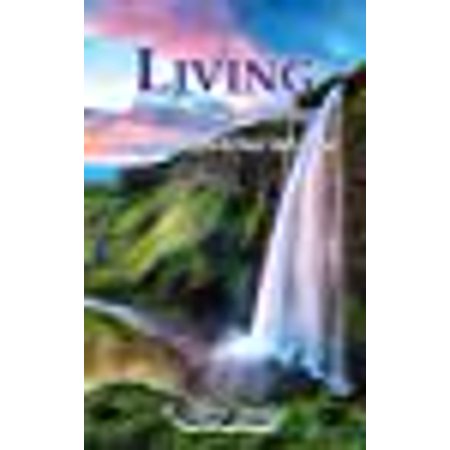 Living with Divine Intervention | Walmart Canada