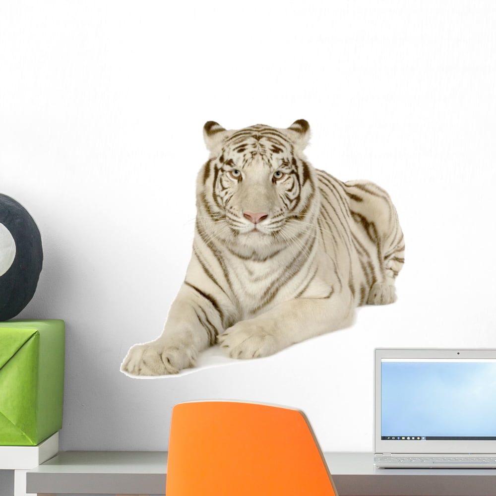 White Tiger 3 Years Wall Decal Sticker by Wallmonkeys Vinyl Peel and ...