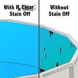 Rx Clear Stain Off Pool Stain Remover Liquid, 1 lb Bottle - Walmart.com