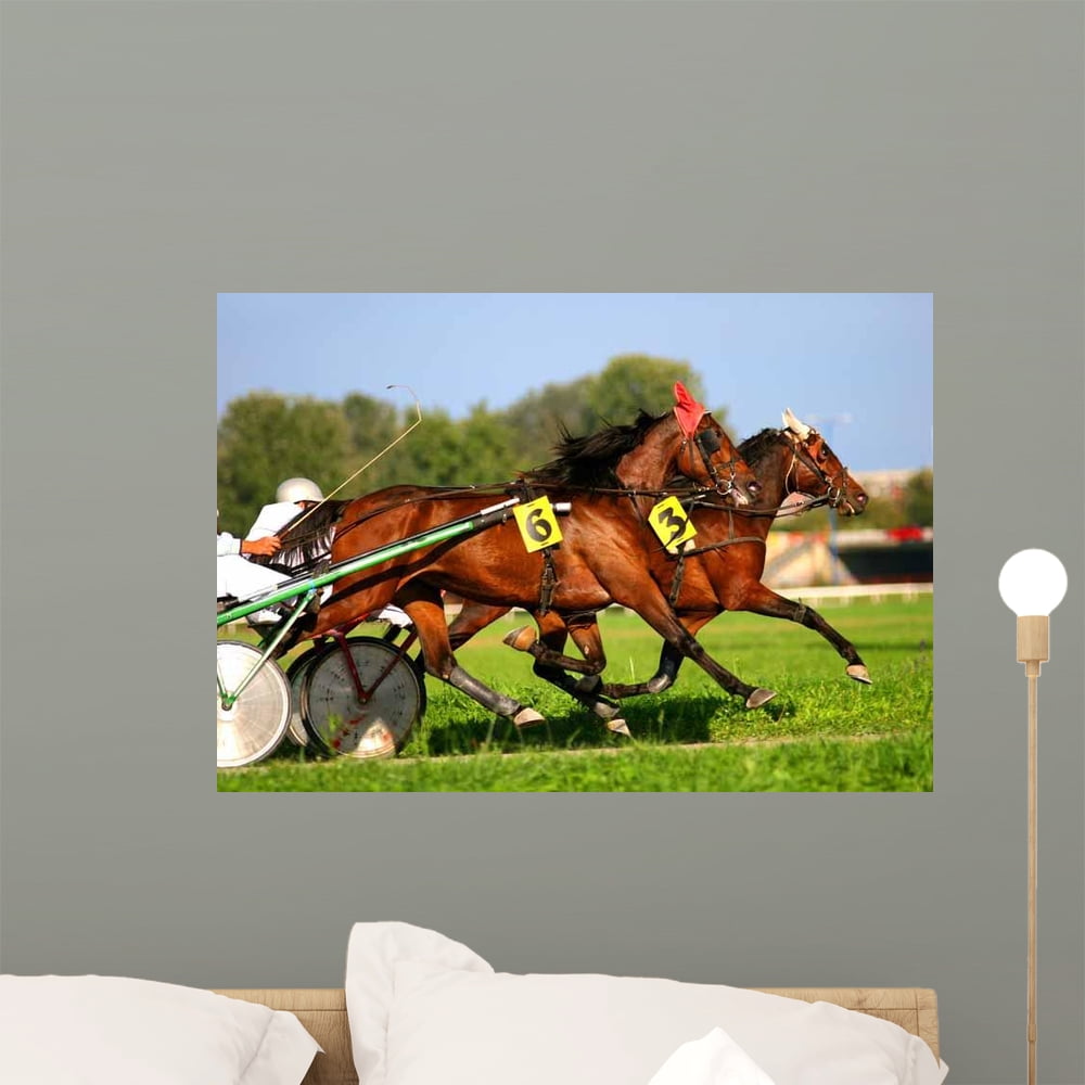 Harness Racing Wall Mural Decal Sticker, Wallmonkeys Peel & Stick Vinyl ...