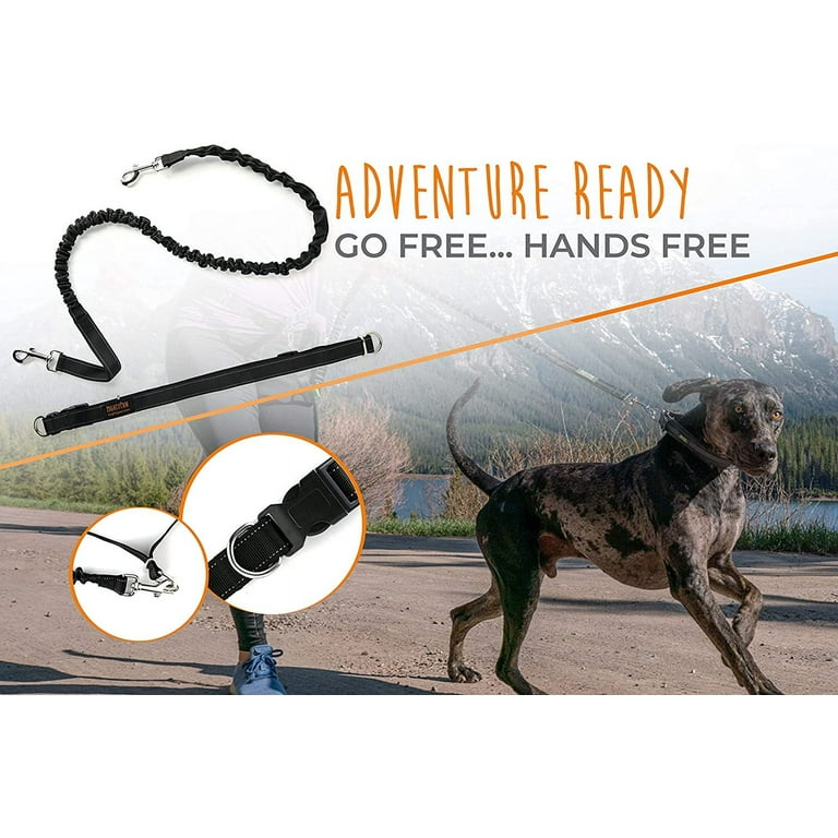 Dog Leads Hands Free Dog Lead, Running Lead With Adjustable Walking ...