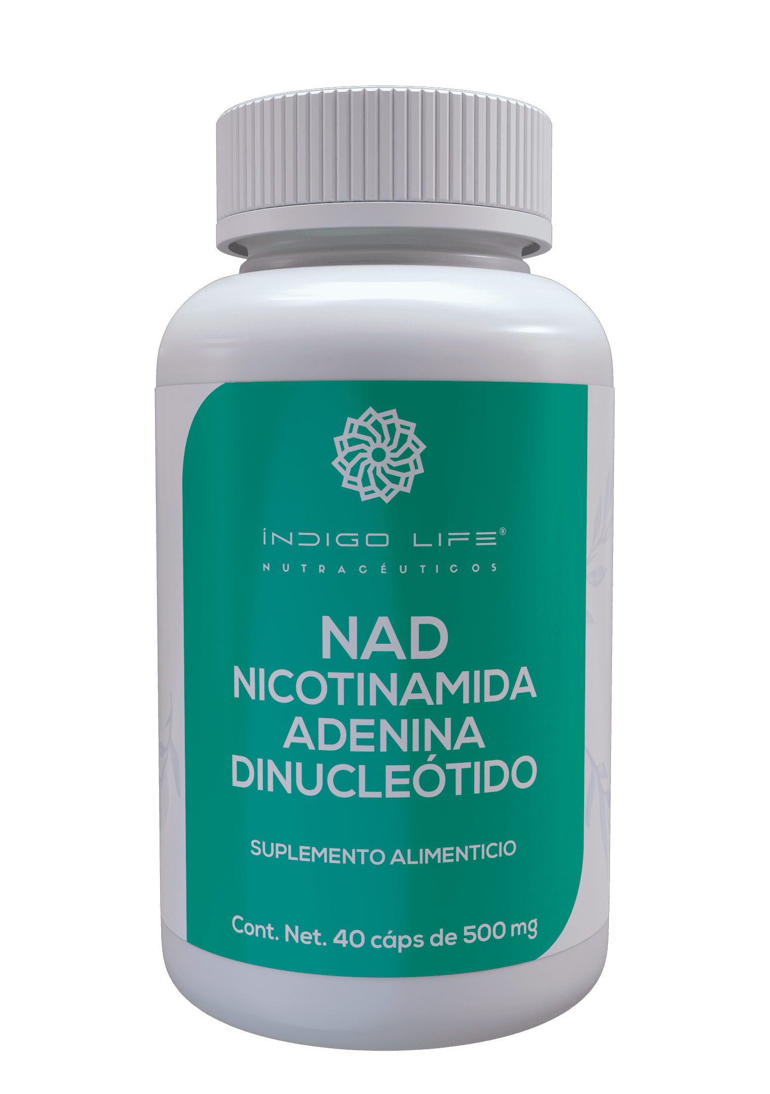NAD 40 Capsulas Veganas DE 500 mg INDIGO LIFE NUTRACEUTICOS | Walmart ...