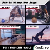 CanDo Soft Medicine Ball 5" Diameter 1lb Tan Exercise Ball for Physical ...