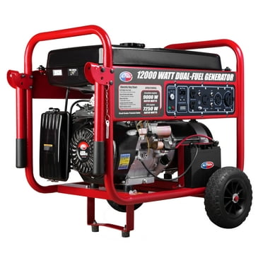 Steele Products 12,000-Watt Gasoline Powered Electric Start Portable ...