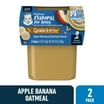 Gerber 2nd Foods Baby Foods, Apple Chicken, 4 oz Tub (2 Pack) - Walmart.com