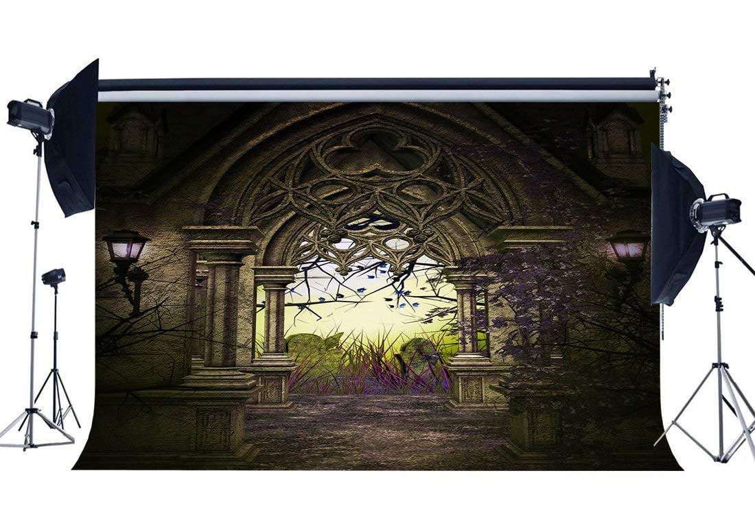 ABPHOTO Polyester 7x5ft Gothic Backdrop Old Castle Garden Arch Door ...