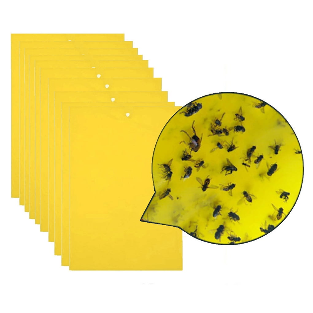 Strong Adhesive Bugs Sticky Board Insect Catching Paper Garden Glued ...