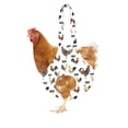 BESEW7 Pet Chicken Out Bag Travel Carrier Tote for Small Animals, Soft ...