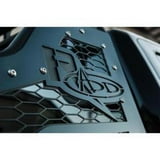 Addictive Desert Designs 17-18 Ford F-150 Raptor Race Series Chase Rack ...