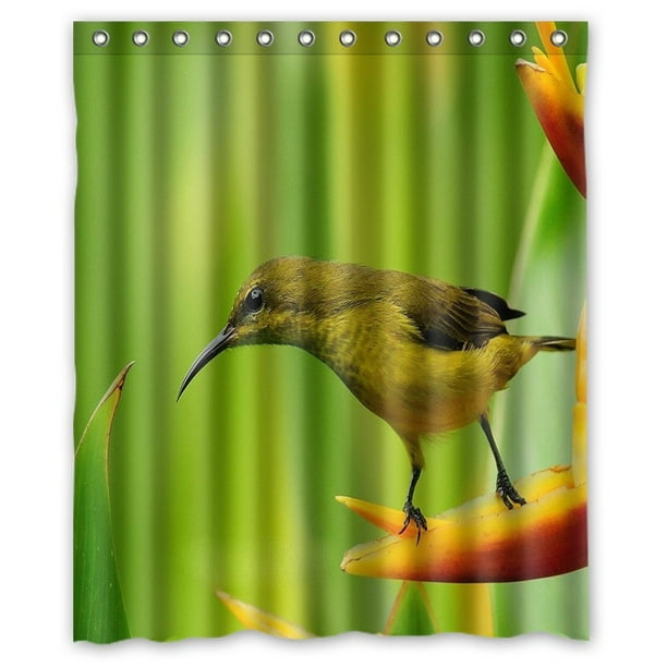 Greendecor Hummingbird Durable Waterproof Shower Curtain Set With Hooks