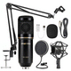 ZINGYOU BM800 Condenser Microphone Bundle Mic Kit for Studio Recording & Brocasting - Walmart.com