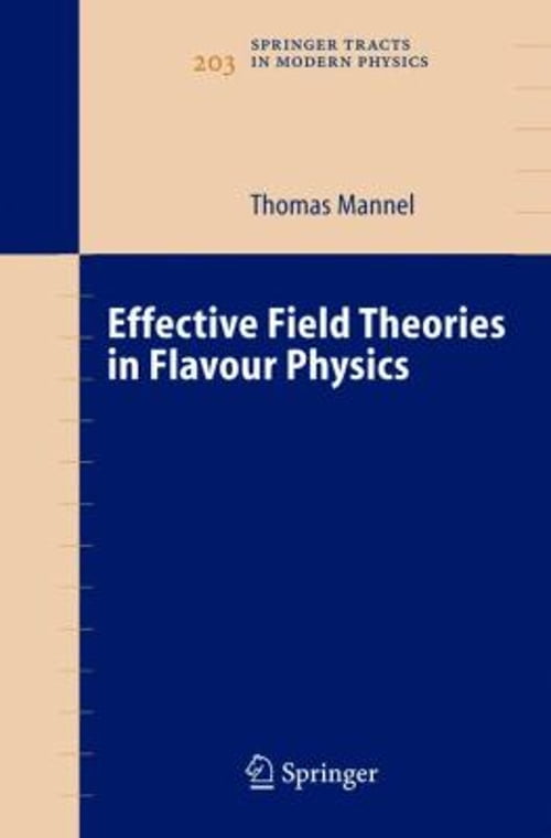 Pre-Owned Effective Field Theories in Flavour Physics (Hardcover ...
