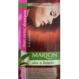 Marion Gray Hair Color Shampoo Hair Dye Kit with Aloe and Keratin #61 ...