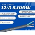 Windy Nation 150 ft. 12 Gauge 3 Conductor 300-Volt Black SJOOW Cable ...