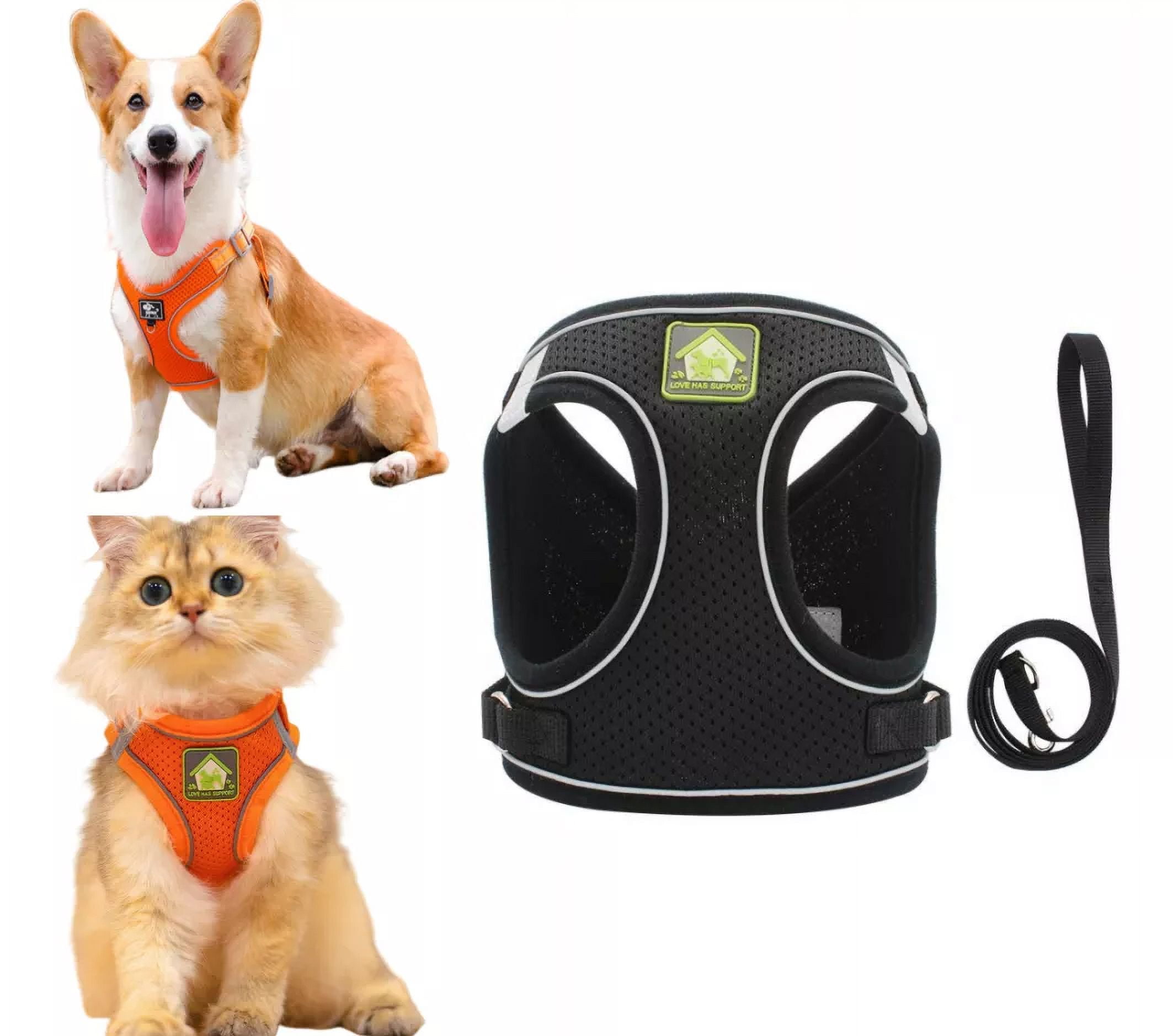 Kit Pechera Arnés Y Correa De Chihuahua Para Perros Y Gatos | Walmart ...