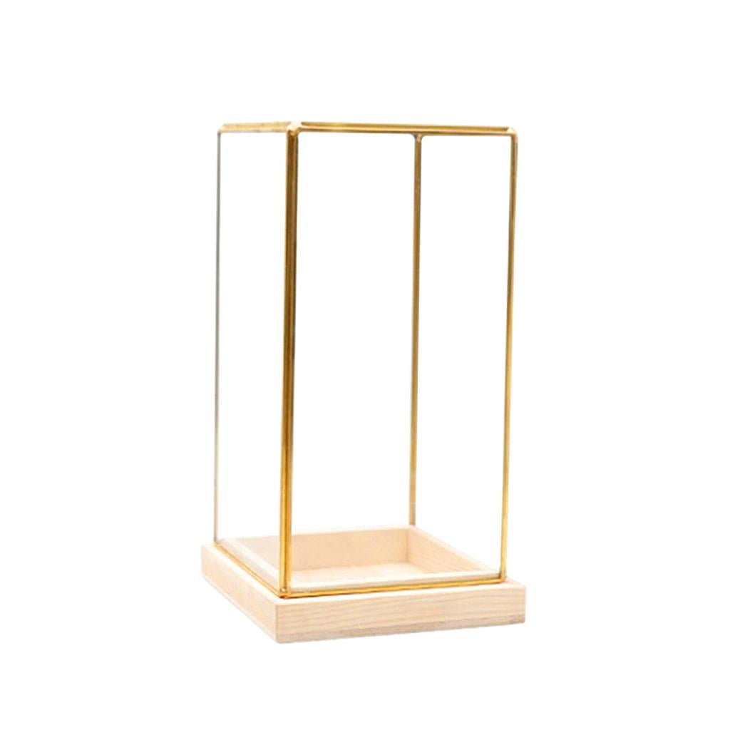 Display Case Desktop Showcase Artwork Terrarium Plants Container M ...