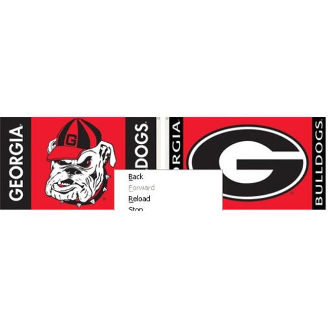 Bsi Products 92107 2-Sided 3 Ft. X 5 Ft. Flag W/Grommets - Georgia ...
