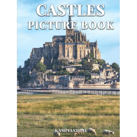 Pre-Owned Castles and Palaces Picture Book: This Beautiful Hardcover ...