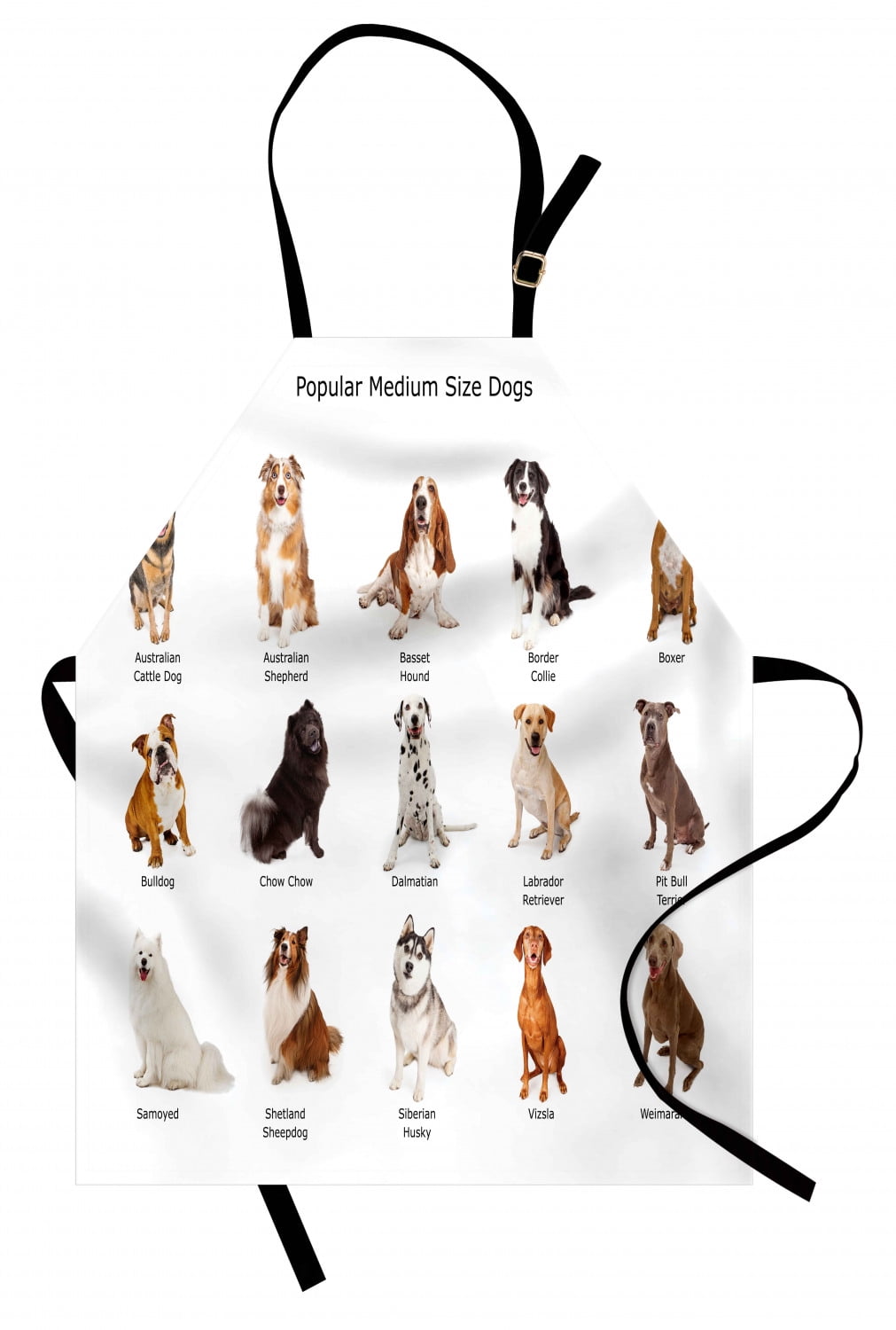 Dog Apron A Group of Different Puppy Breeds Family Type Species ...