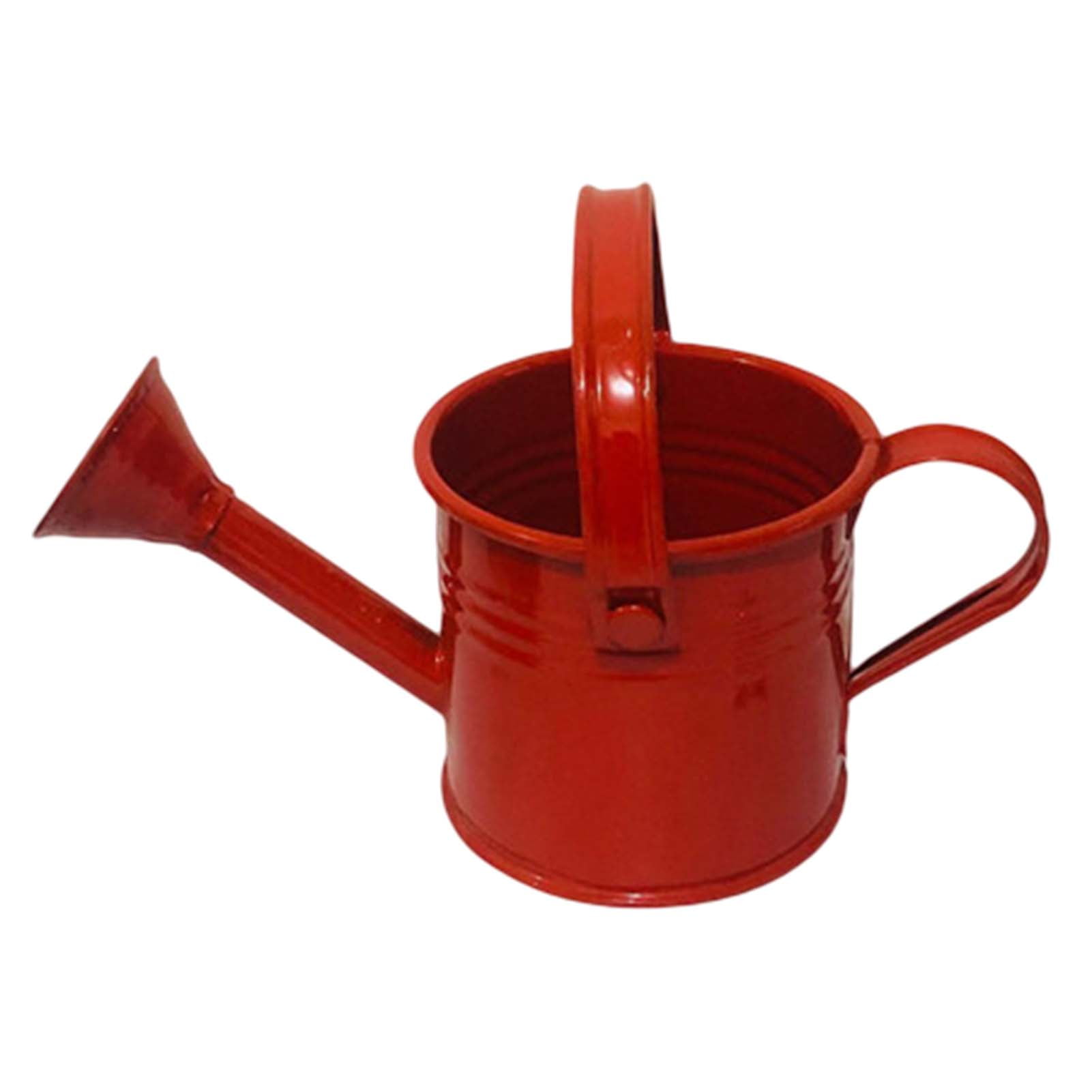 Creative Kettle Ornament - Galvanized Iron Flower Pot Watering Can with ...